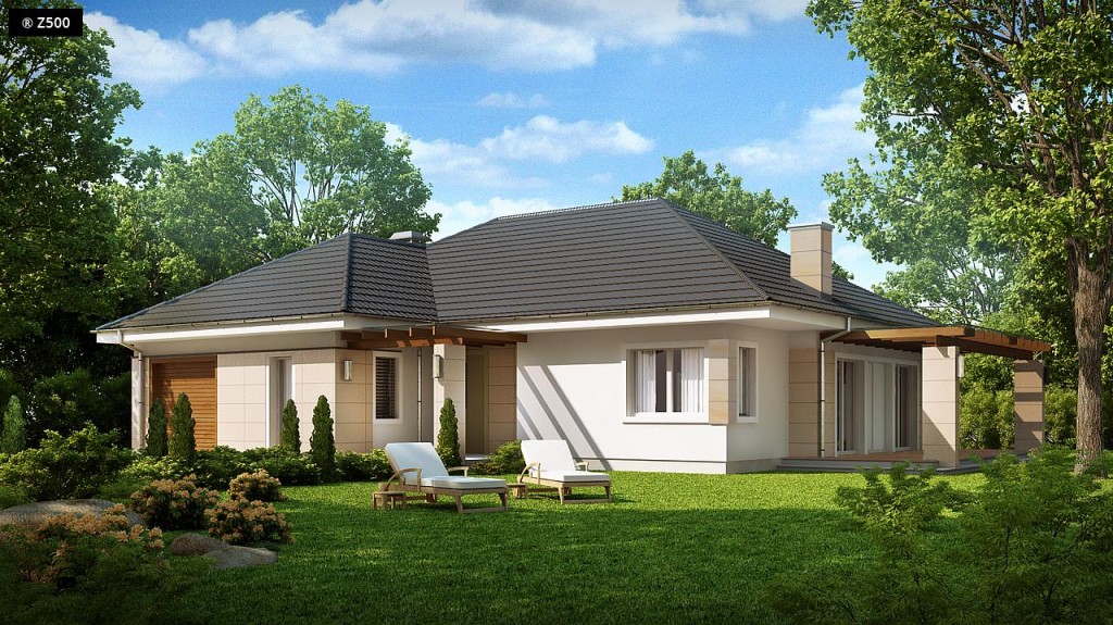 Z201, | Z500 International