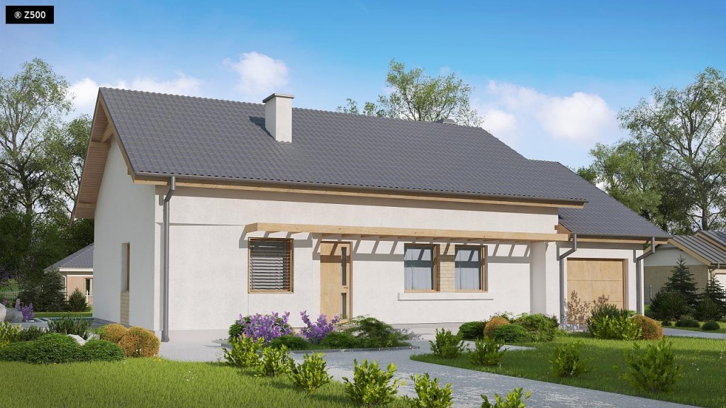 Z261 GP, | Z500 International