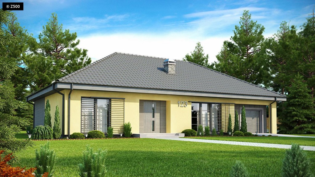 Z123 D, | Z500 International